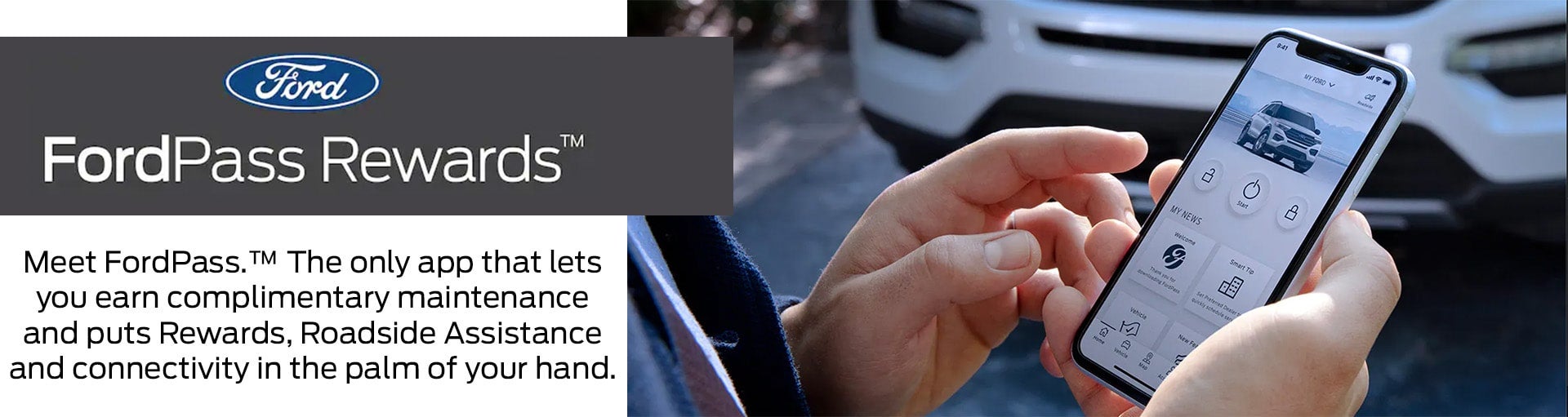 Ford Dealer in New Braunfels, TX | Used Cars New Braunfels | Bluebonnet ...